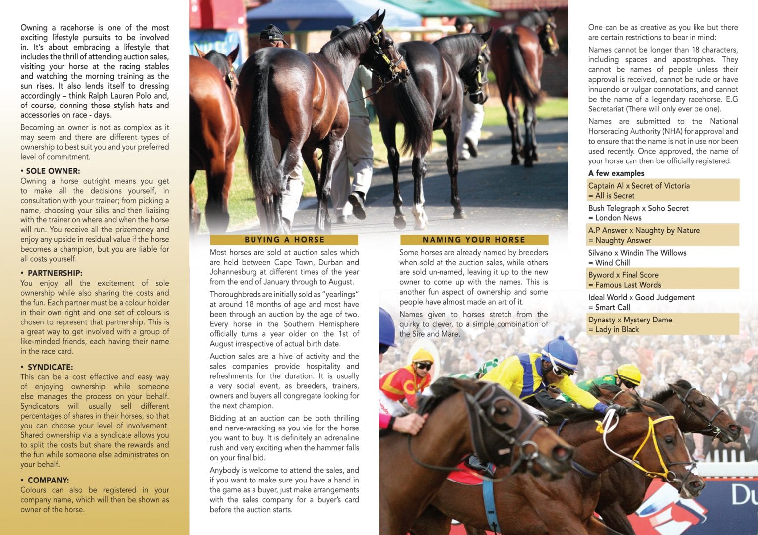Owning a Thoroughbred Racehorse in South Africa