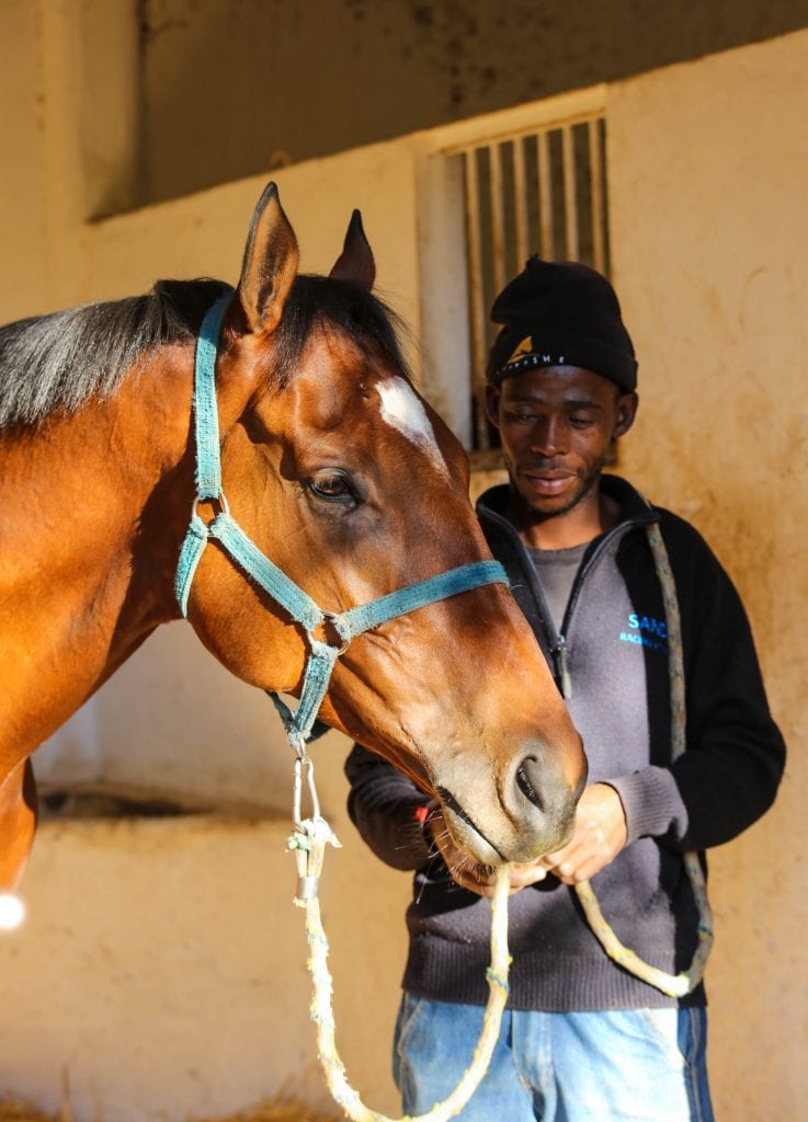 Vodacom Durban July Runners At Summerveld - Thoroughbred Breeders ...