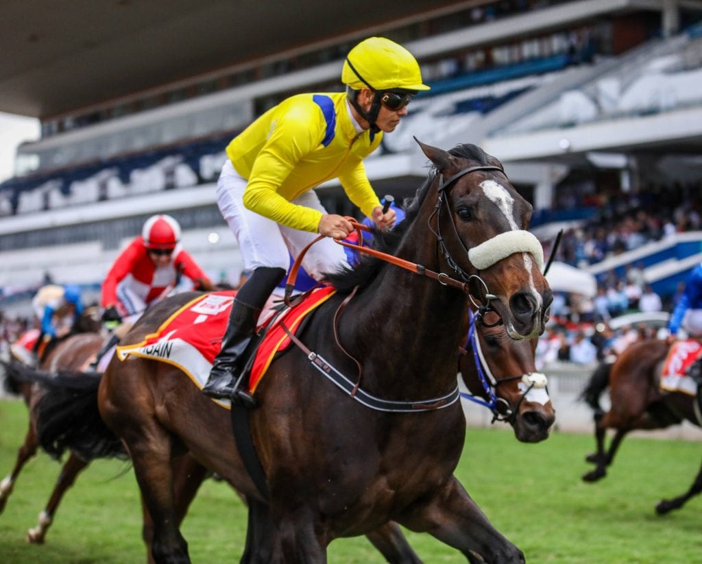 Mauritzfontein & Wilgerbosdrift Champion Breeders! - Thoroughbred ...