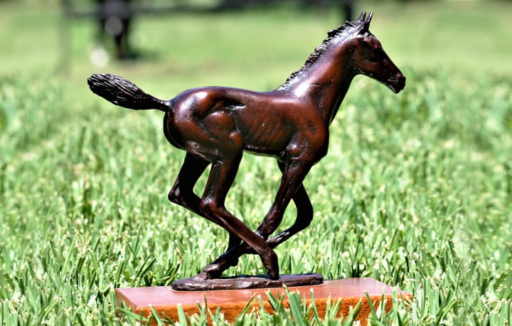 Sport of Thoroughbred Horse Racing in South Africa