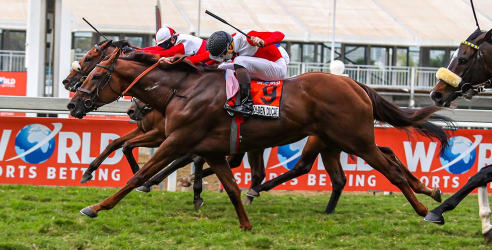 South Africa's Rich Horse Racing Industry - 1795 to Present