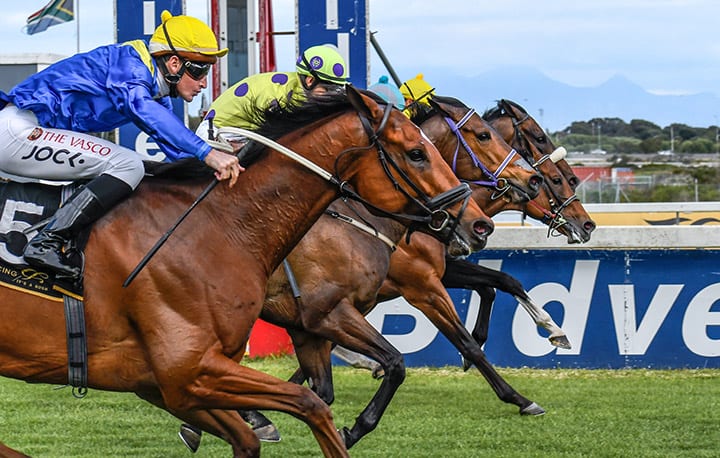 Sport of Thoroughbred Horse Racing in South Africa