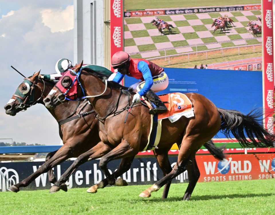 Legal Eagle Rewrites History In L'Ormarins Queens Plate 2018 ...