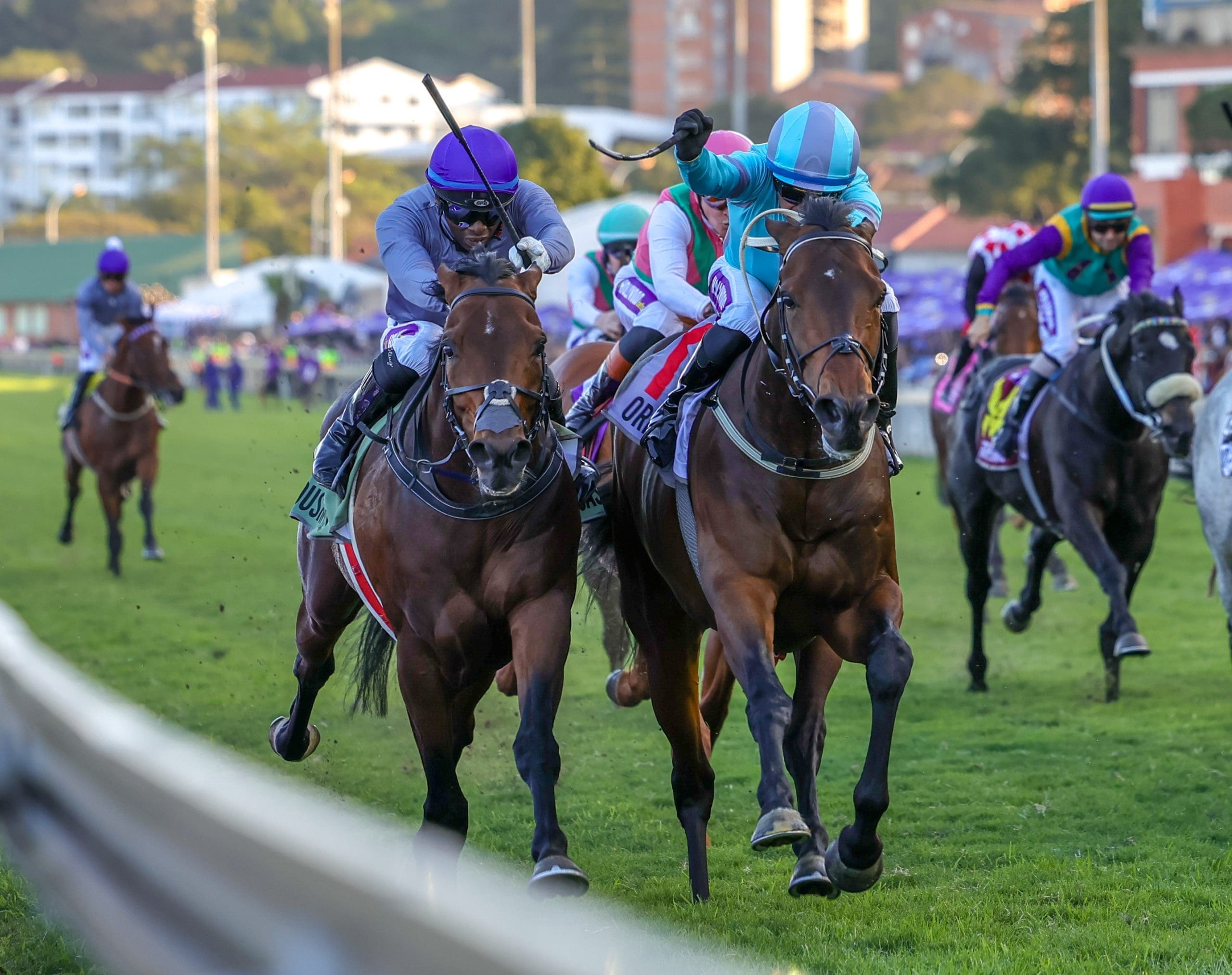 Justin Snaith submits 10 entries for Hollywoodbets Durban July ...