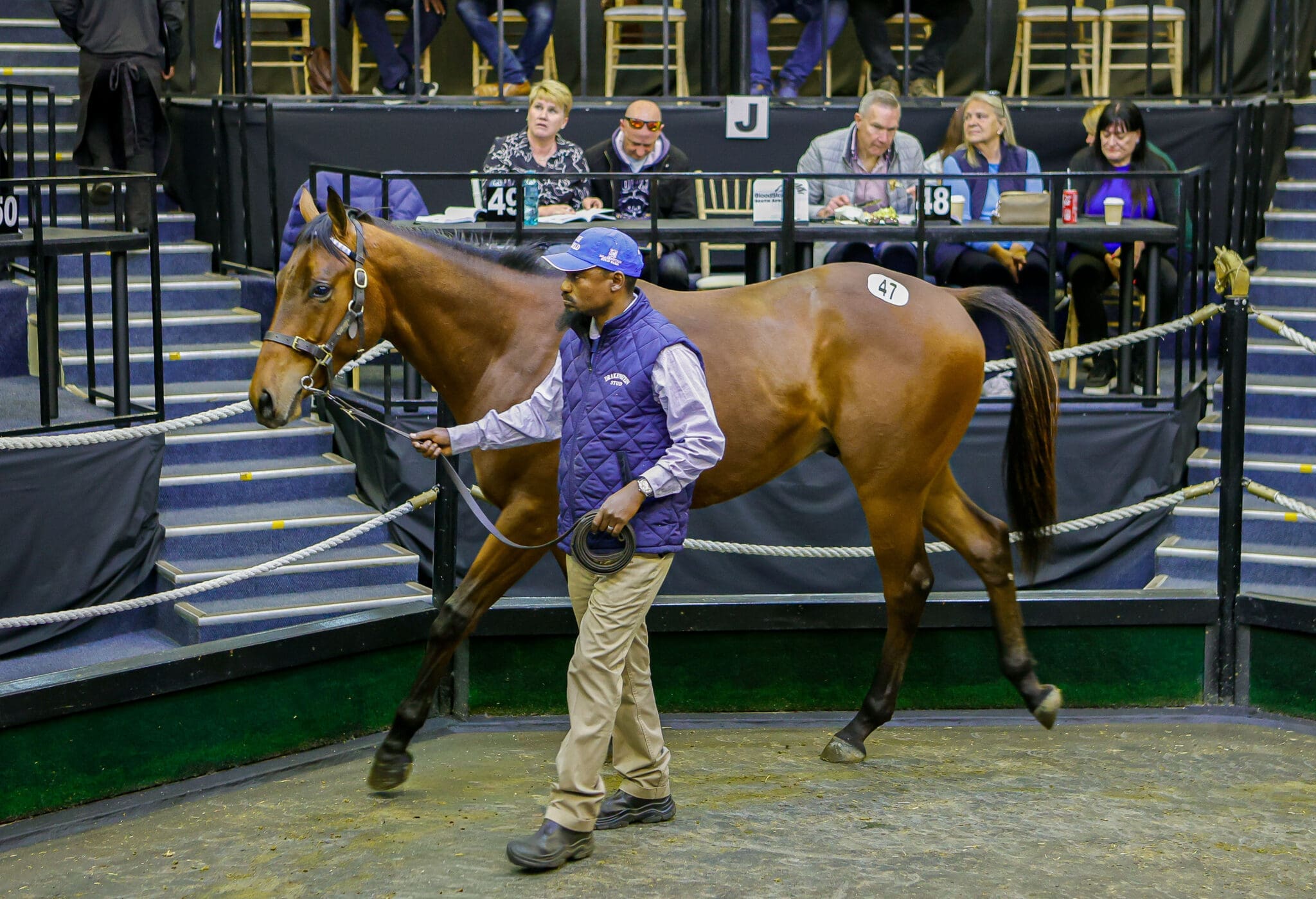 One Stripe Draws Pole Position In Breeders Cup Mile On Turf ...